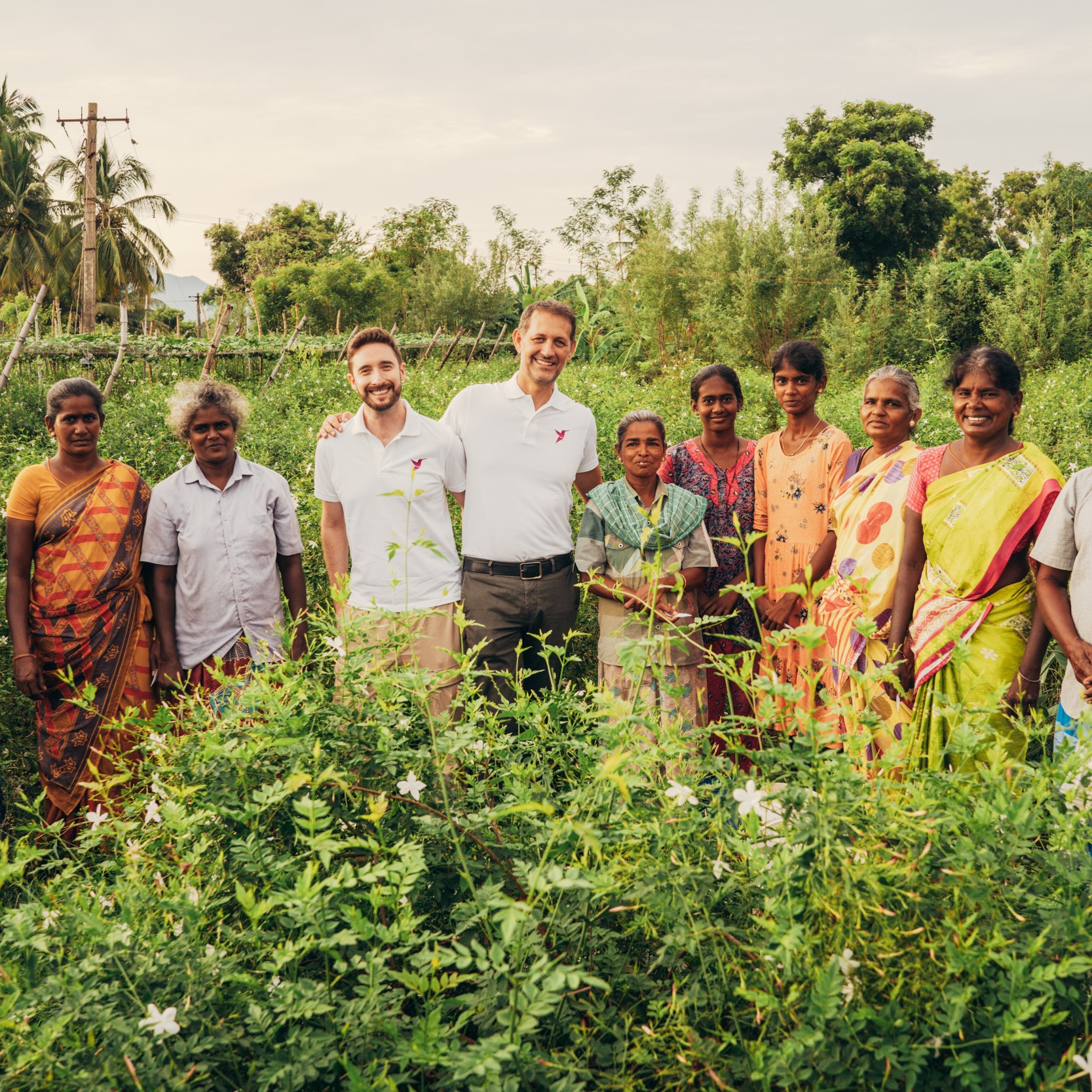 The Hummingbird Programs